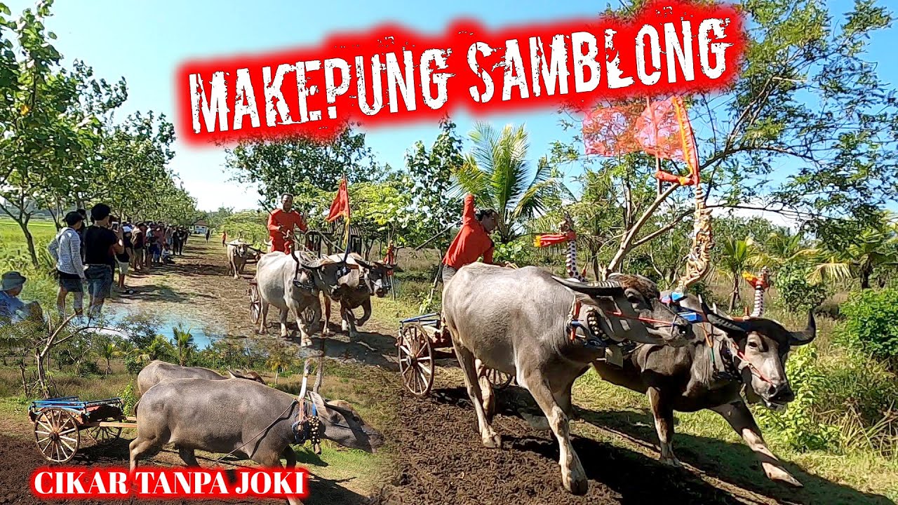 LATIHAN MAKEPUNG SAMBLONG - YouTube