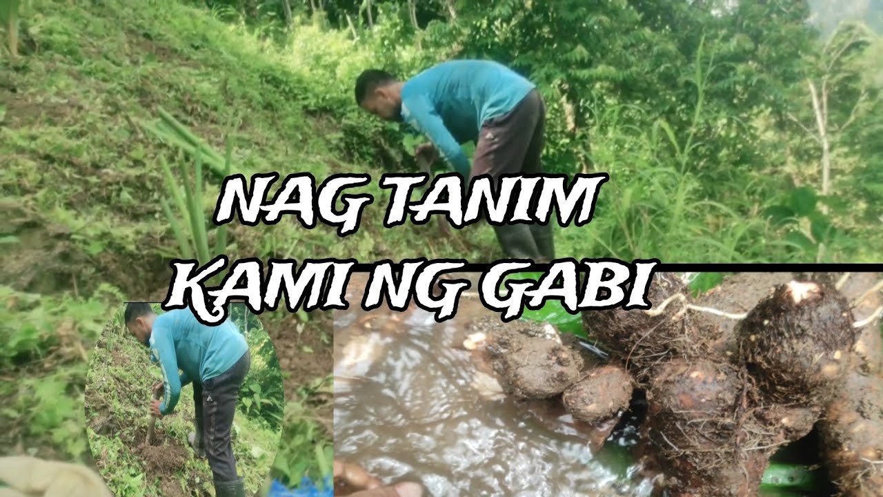 NAG TANIM KAMI NG GABI PARAMIHIN NATIN TO GUYS - YouTube