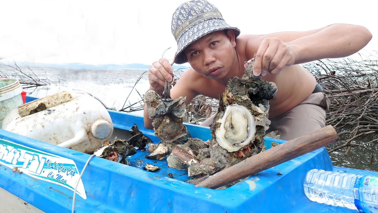 Collecting Oysters at The Sea Swamp after Water Low Tide | Find and ...