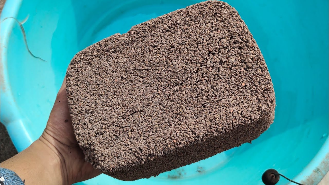 New amazing 😍 crispy slabs of colorful texture crumbling+dipping+dry ...