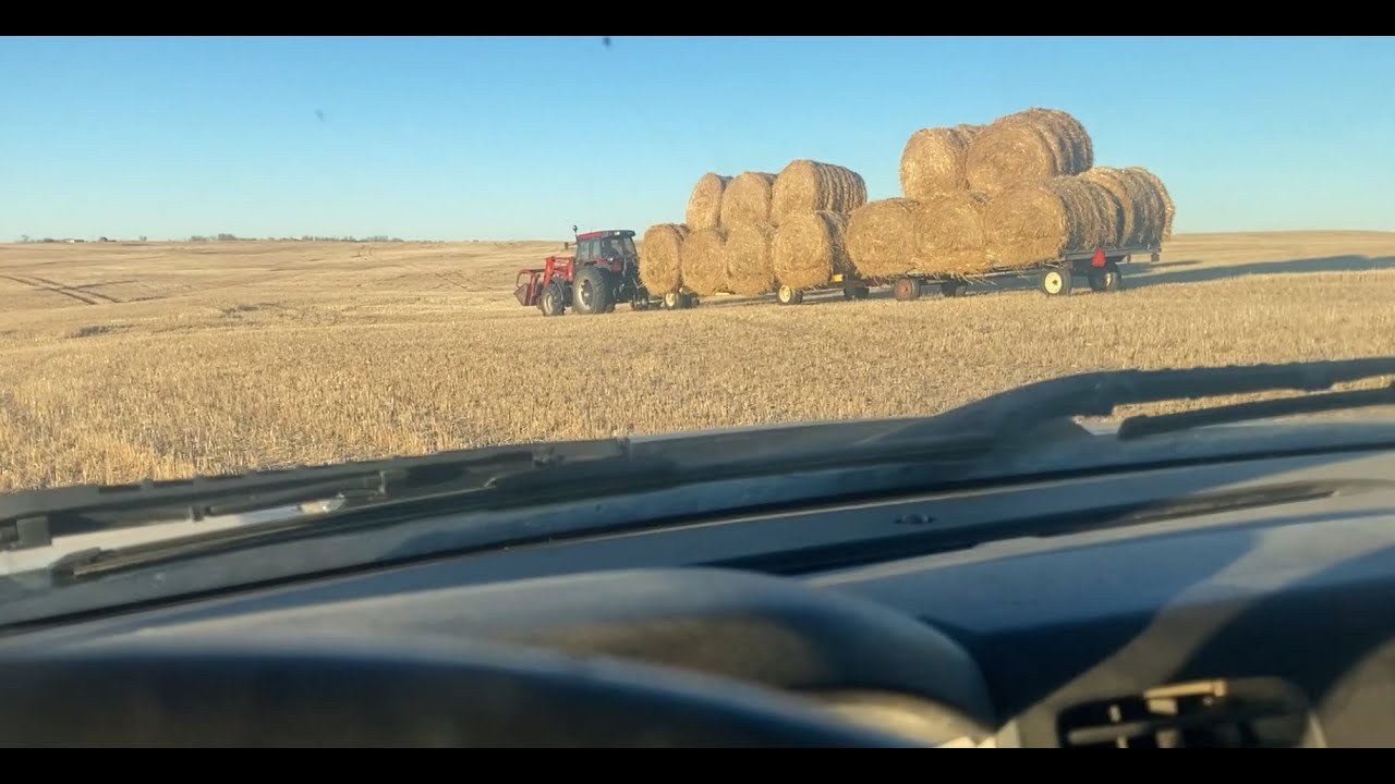 We Made an Impressive Wagon Train to Finish Hauling our Bales - YouTube