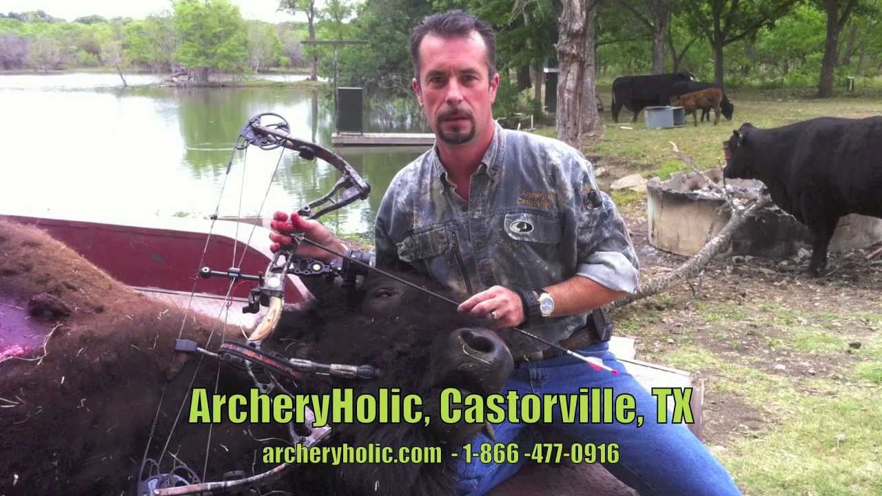 arrowslingntv- BUFFALO BOW KILL SHOT ! elite pulse bow. VAP arrow ...