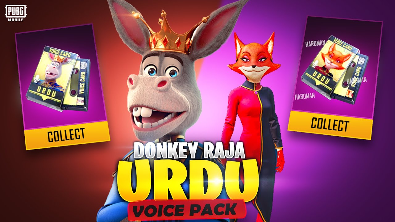 HOW TO GET URDU VOICE PACK | DONKEY RAJA VOICE PACK PUBG MOBILE | MISS ...