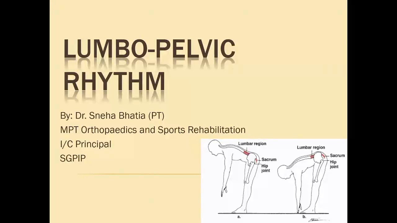 Lumbopelvic Rhythm Youtube