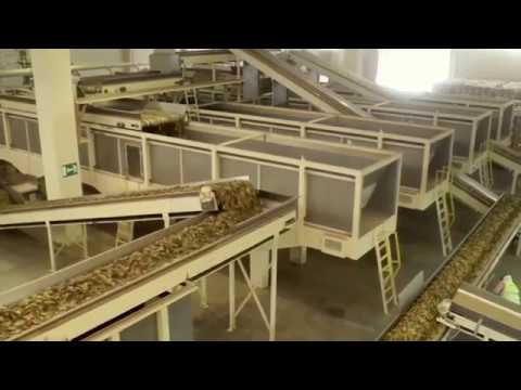 Sunel Web Loop Teaser#1