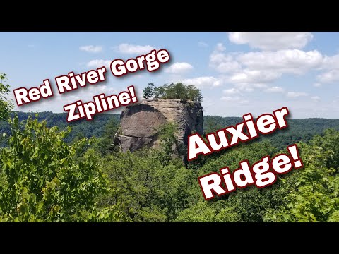 Auxier Ridge / Red River Gorge Ziplines Adventure - YouTube