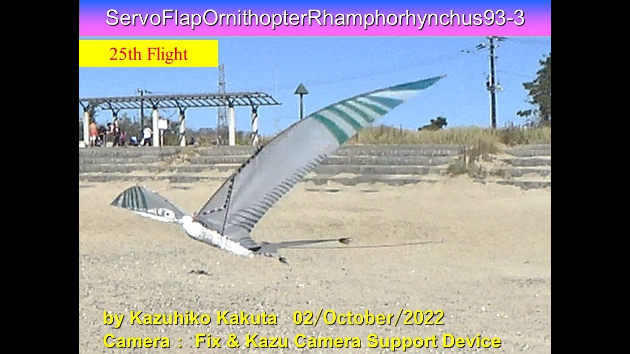サーボ駆動翼竜型羽ばたき機 ServoFlapOrnithopter Rhamphorhynchus93-3 29g 25th Flight ...