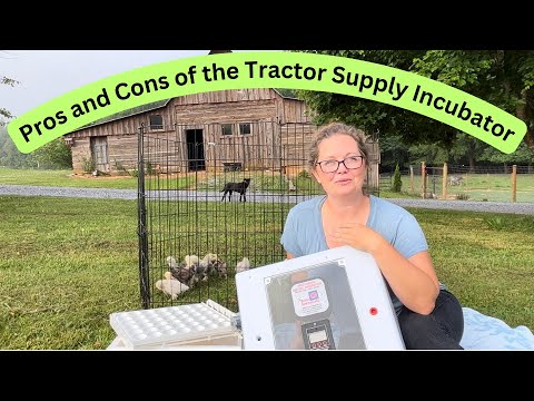 Is This Incubator Worth It? Honest Review of the Farm Innovators 41 Egg ...