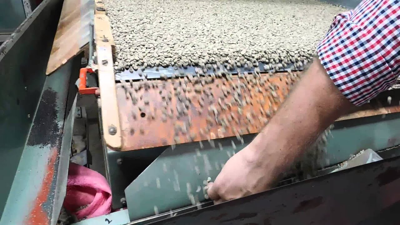 Dry Mill in Operation, Matagalpa, Nicaragua 2-5-16 - YouTube