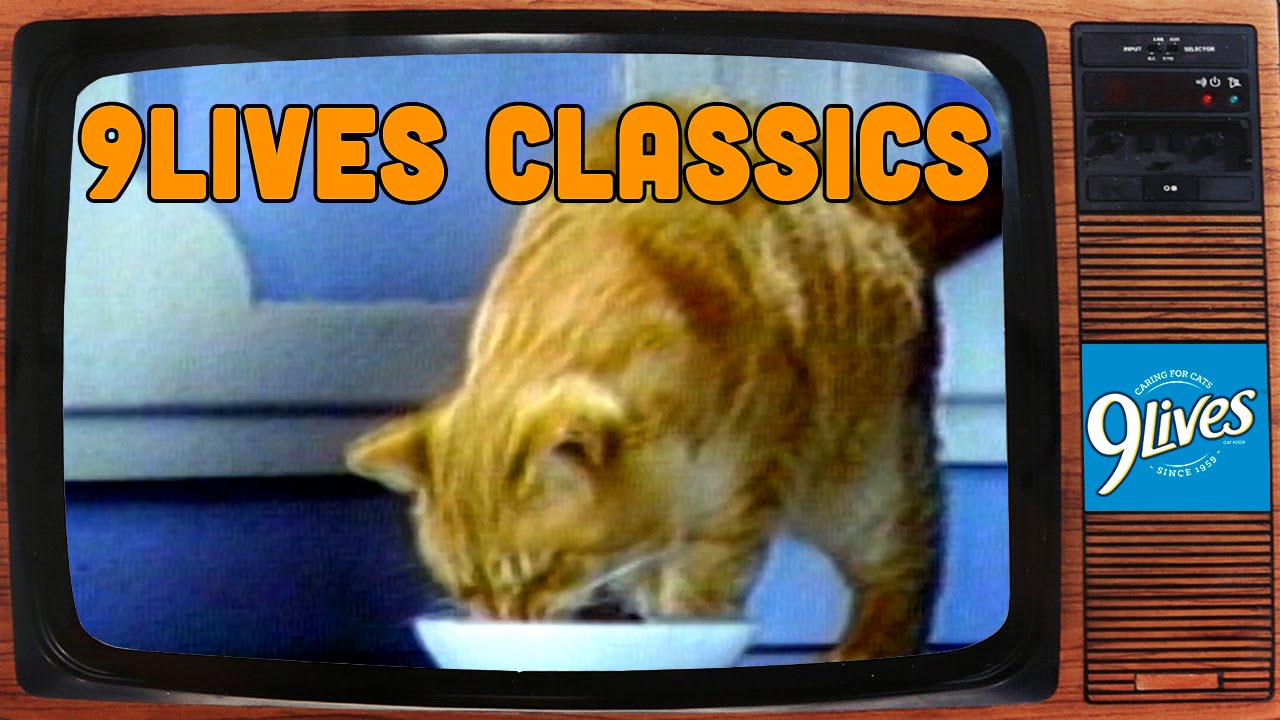 Morris the Cat: "Go Home" Classic Commercial - YouTube