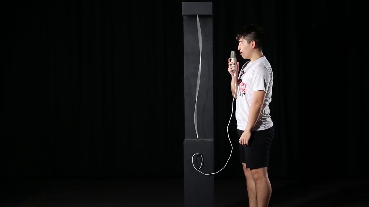 LARYNX: an interactive installation that visualizes sound - YouTube