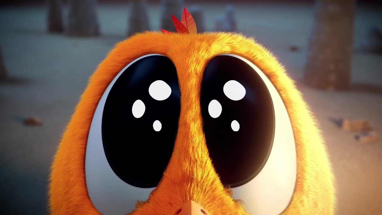 Where's Chicky? Funny Chicky 2023 | THE DISCOVERY | Cartoon in English ...