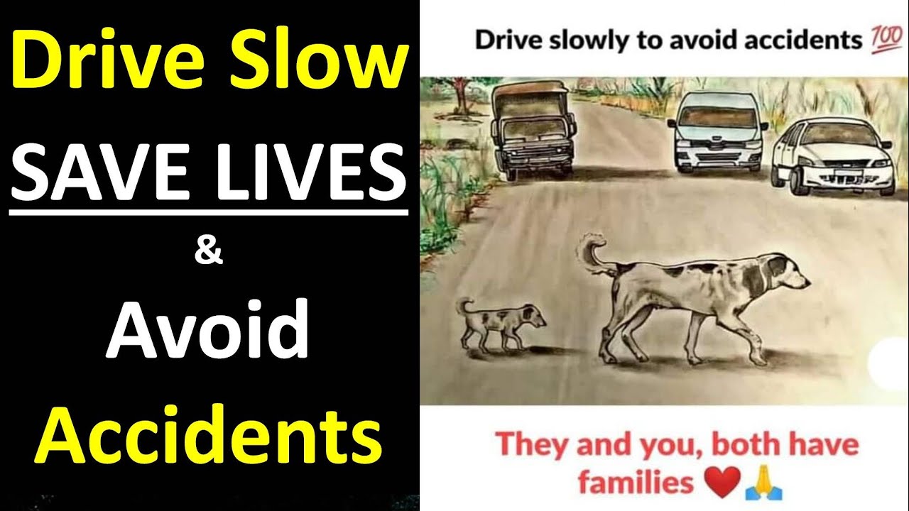 Quality Education Video 6: Drive Slowly to Avoid Accidents - Save Lives ...