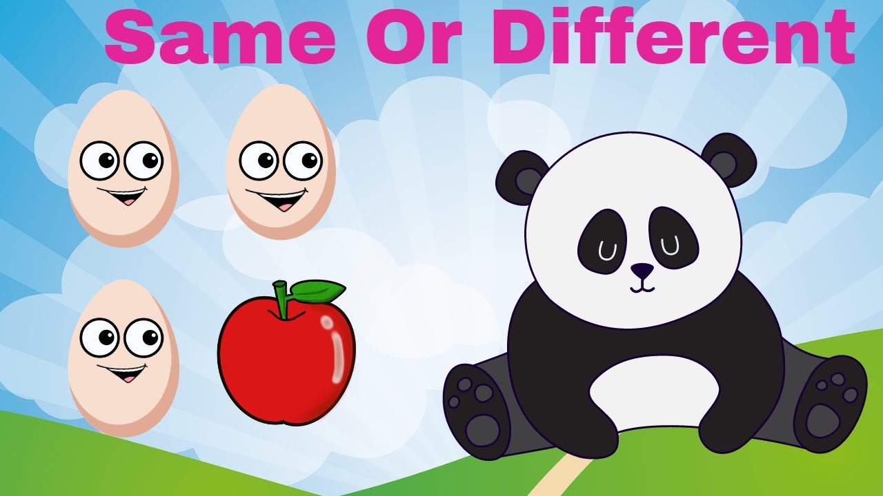 Same or Different concept | Same and Different concept | Pre maths ...