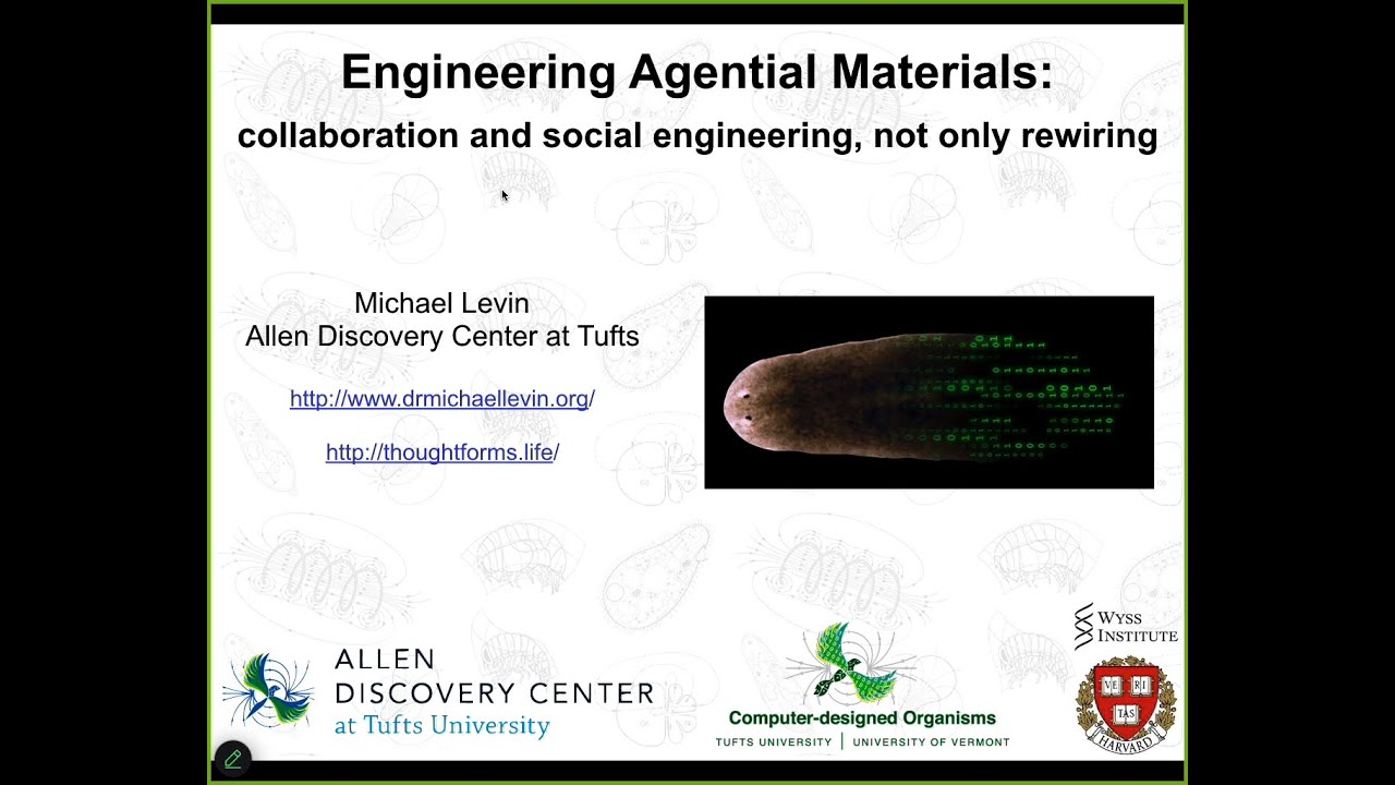 "Engineering Agential Materials" by Michael Levin - YouTube