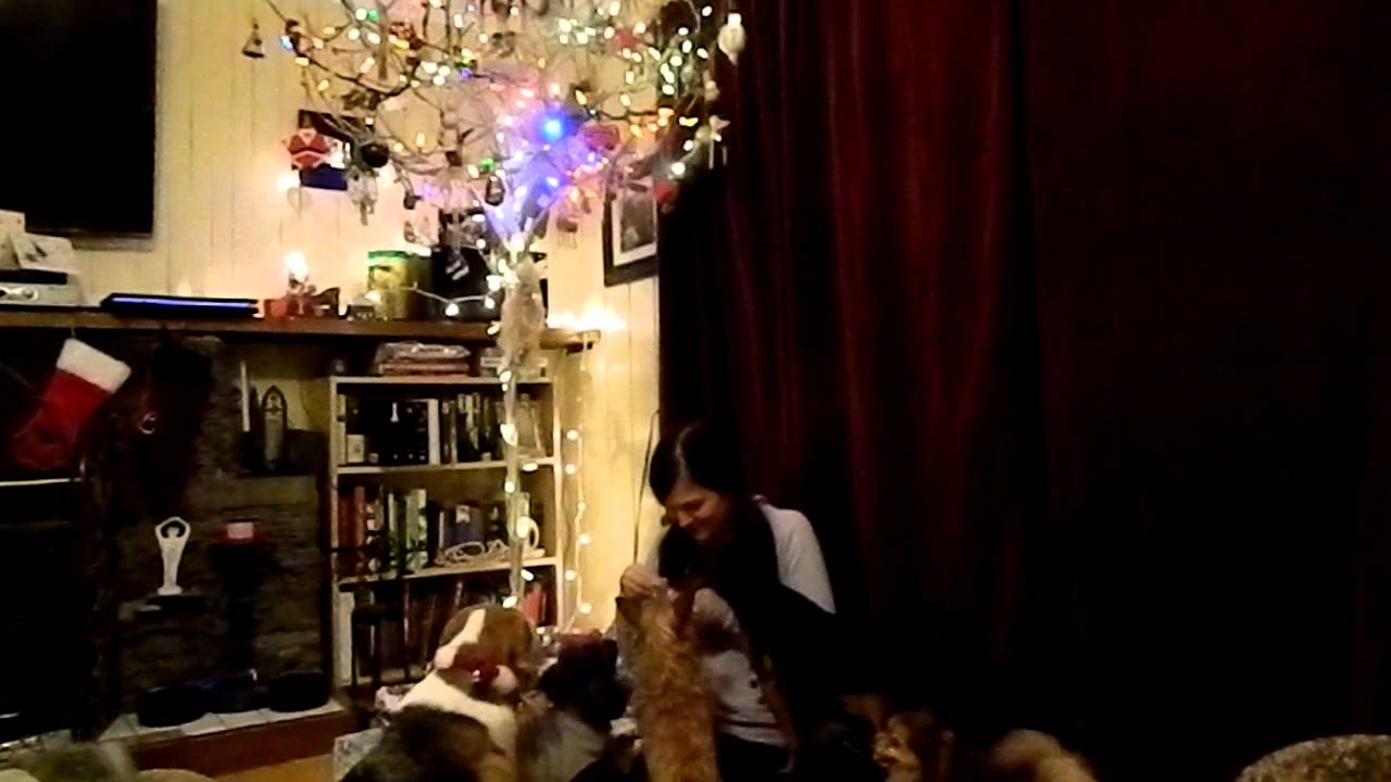 Wayne & Lori Bourgeois Christmas 2011.MOV - YouTube