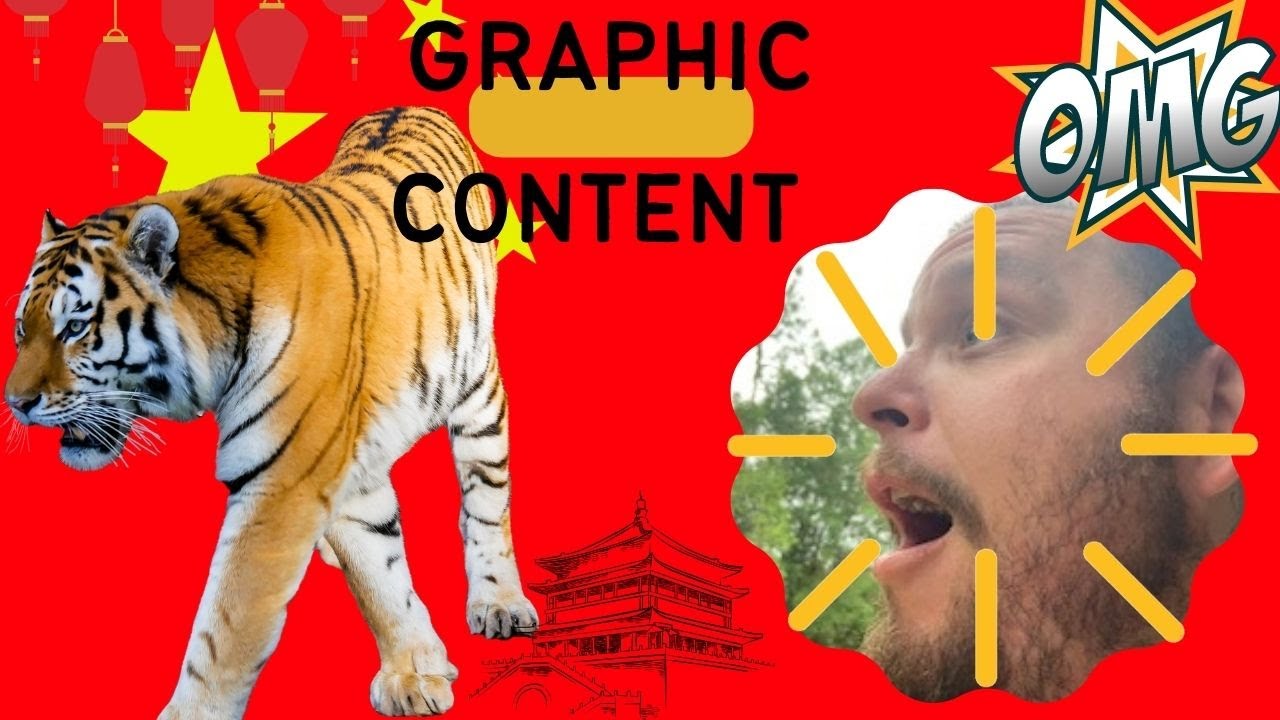China Tiger Attack women & Kills Woman in Safari Park Tour , after ...