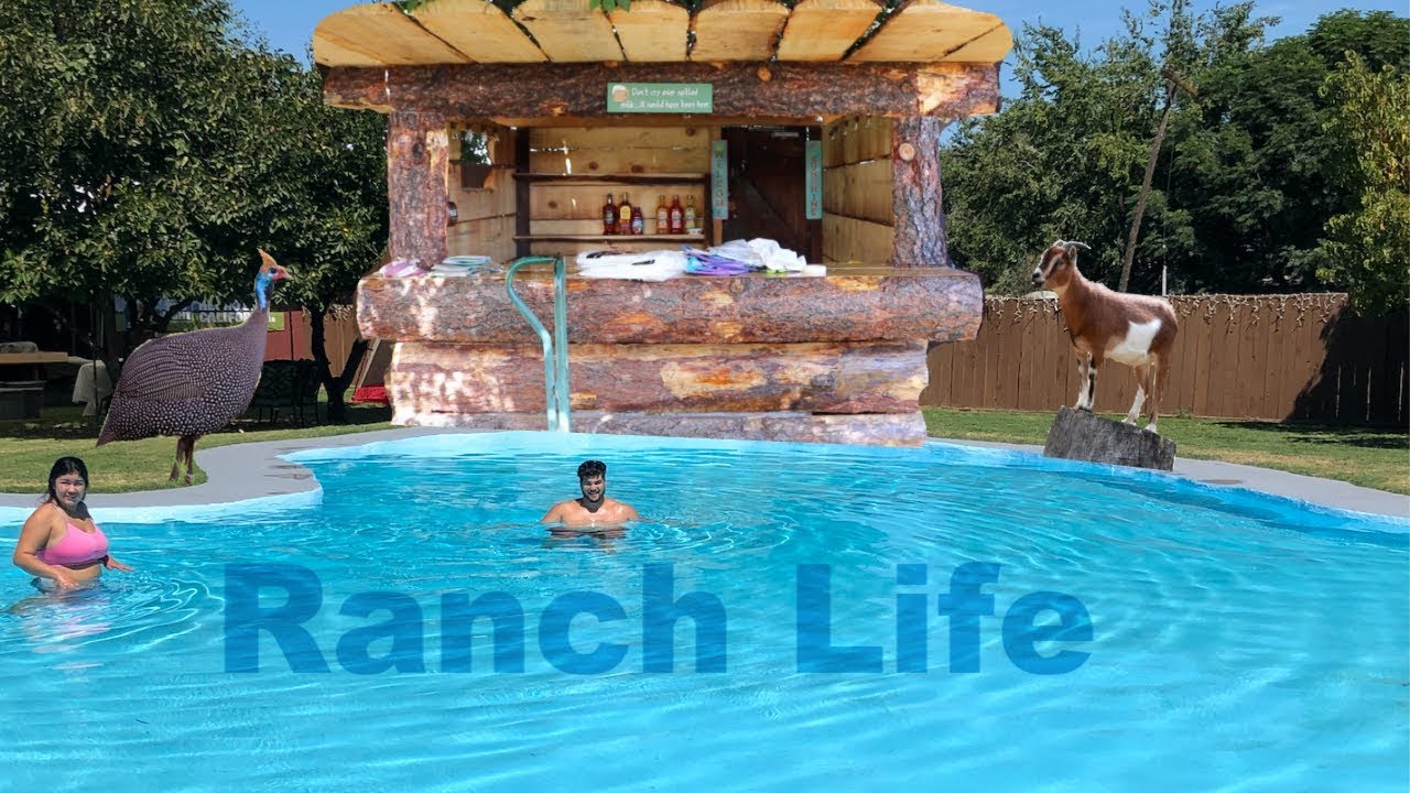 RANCH LIFE in Cali (REUNION 2019) - YouTube