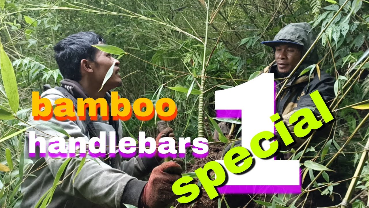 moving bamboo from the forest to the house - YouTube