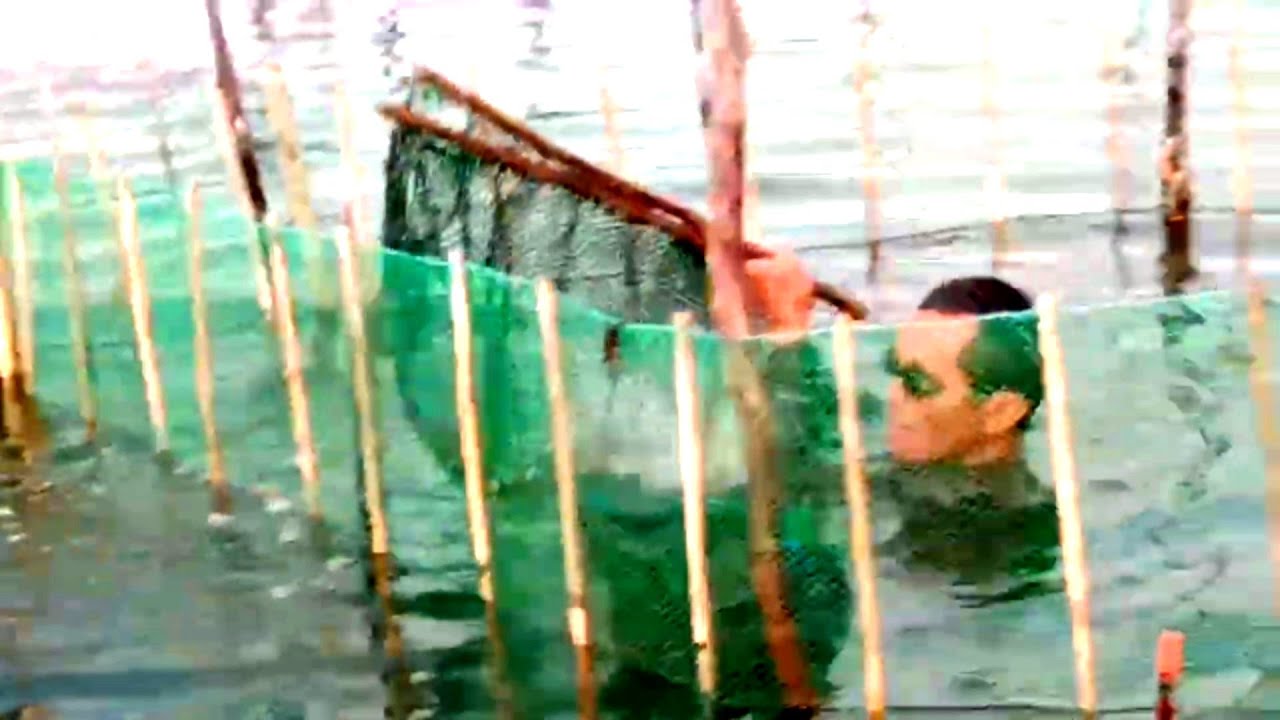 BUNSOD [ Fish Trap ] FISHING 🐠🐬. - YouTube