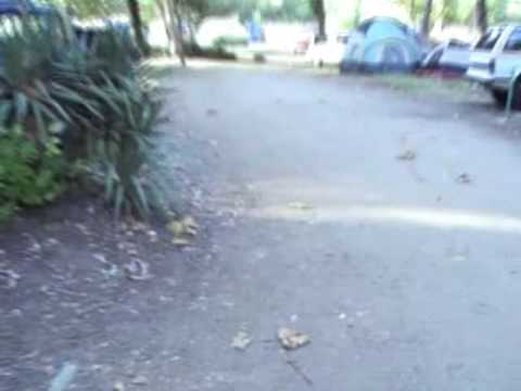 Kaweah Park Resort Three Rivers Ca. - YouTube