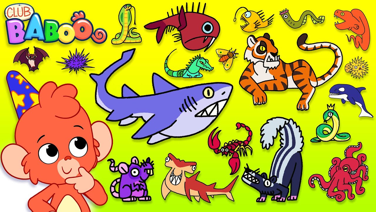 Animal ABC | Learn the alphabet with SCARY ANIMALS for KIDS | abcd ...
