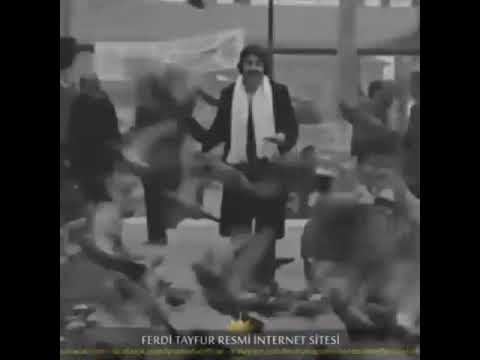 Ferdi tayfur