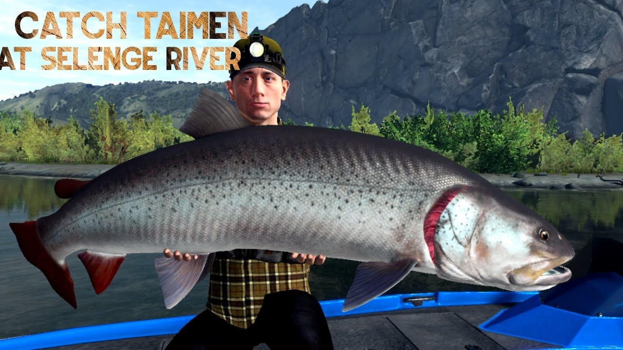 how to catch siberian taimen at selenge river fishing planet - YouTube