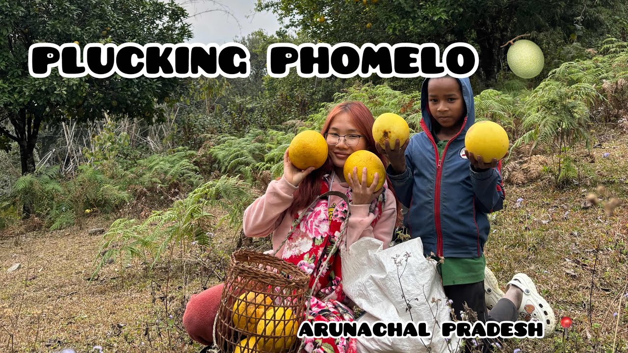 A day in my life 🌸||plucking phomelo🍈 ||#villagelifestyle # ...