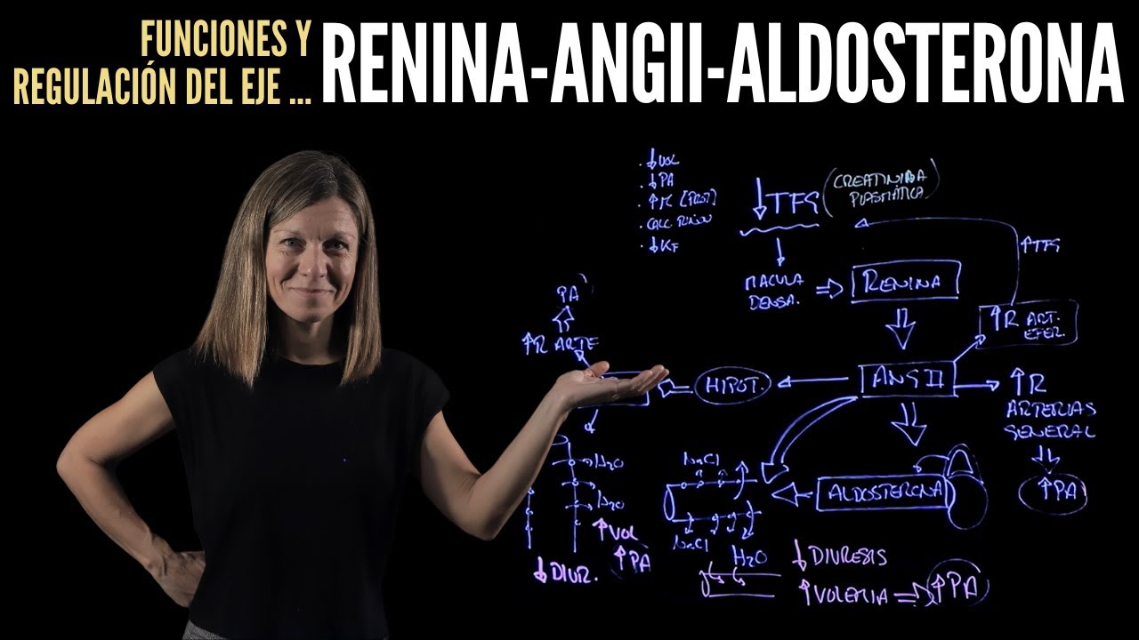 Eje Renina - Angiotensina II - Aldosterona: Funciones y regulación ...