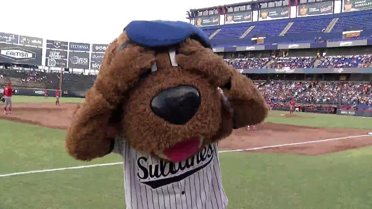 EL PERRO SULTÁN CELEBRA SU FIESTA CON SUS AMIGOS - YouTube