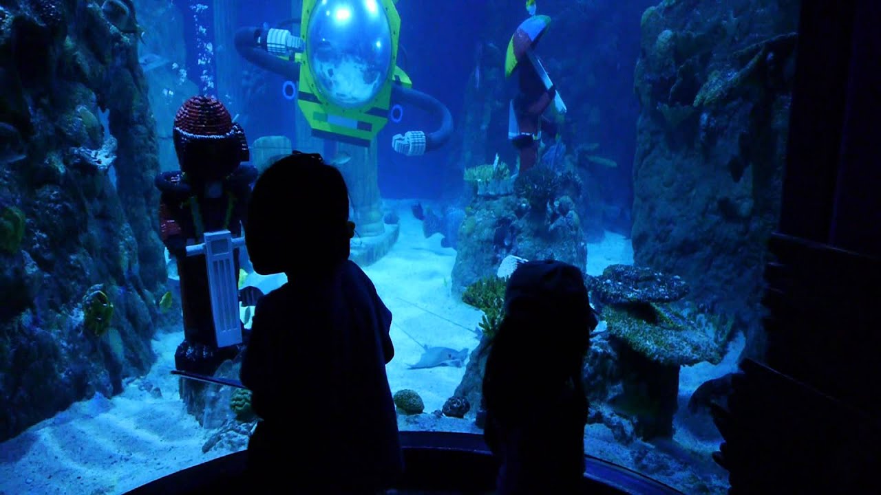 SEA LIFE Aquarium @ LEGOLAND, CA - YouTube