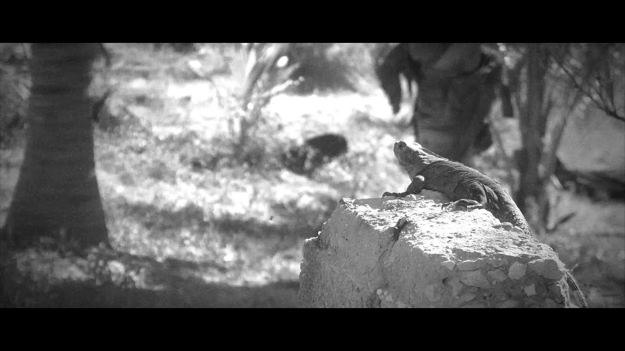 Nonsense Film - YouTube