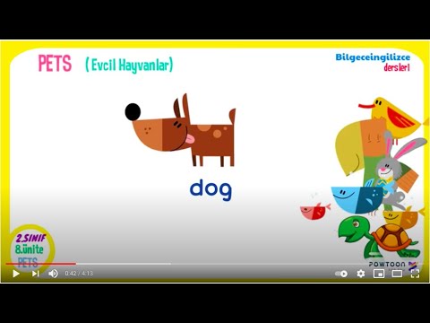 2.Sınıf 8.ünite(PETS) ingilizce Konu Anlatımı