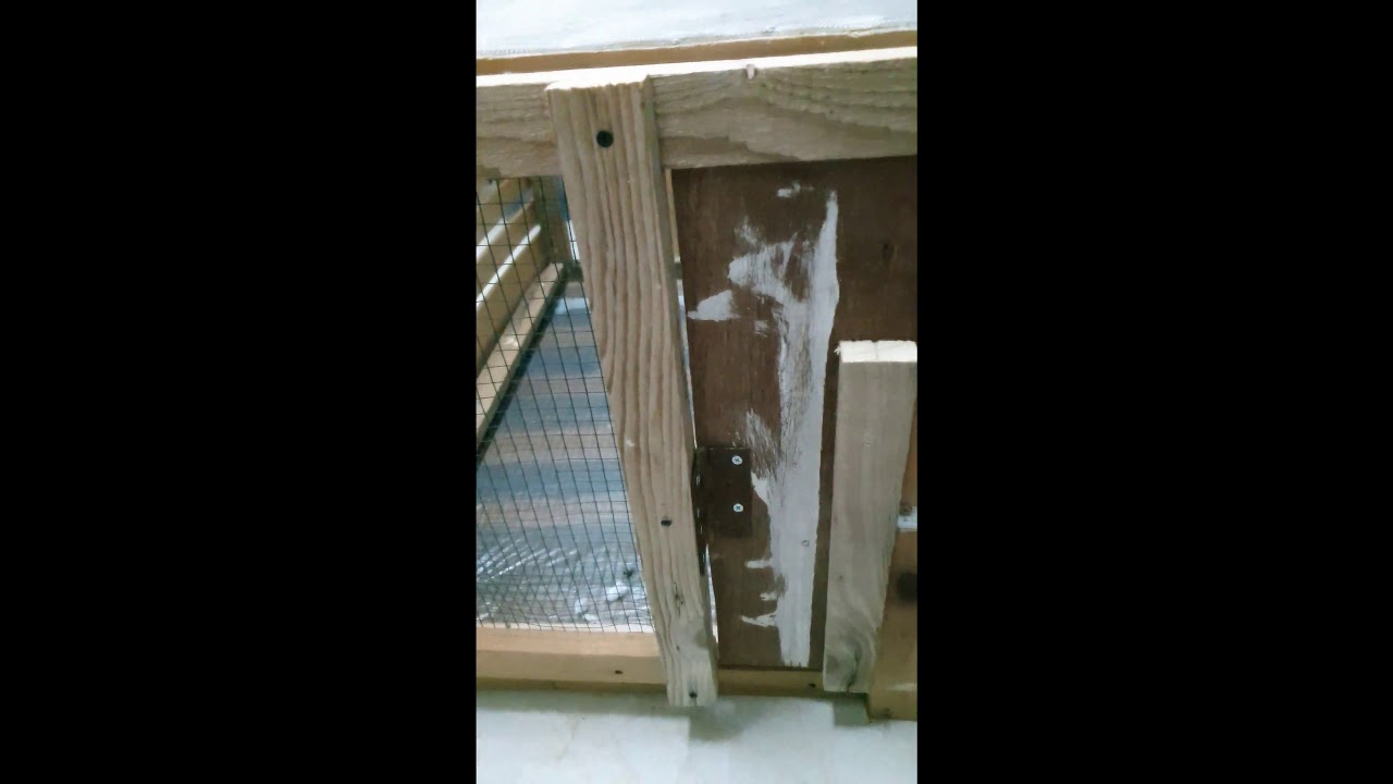 My home made bird cage - YouTube