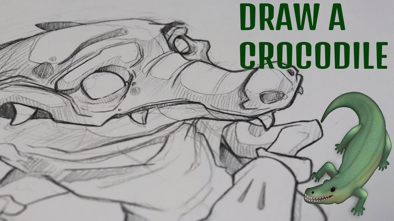 How to draw a crocodile. (stylised) - YouTube
