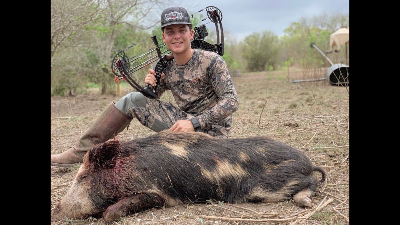 INSANE Hog Bow Hunt (Spot and Stalk) - YouTube