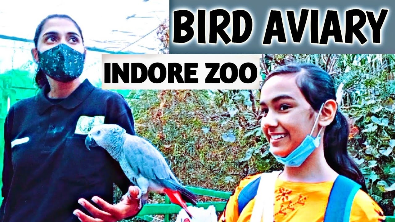 Indore zoo bird aviary | Indore zoo trip | indore zoo 2021 - YouTube