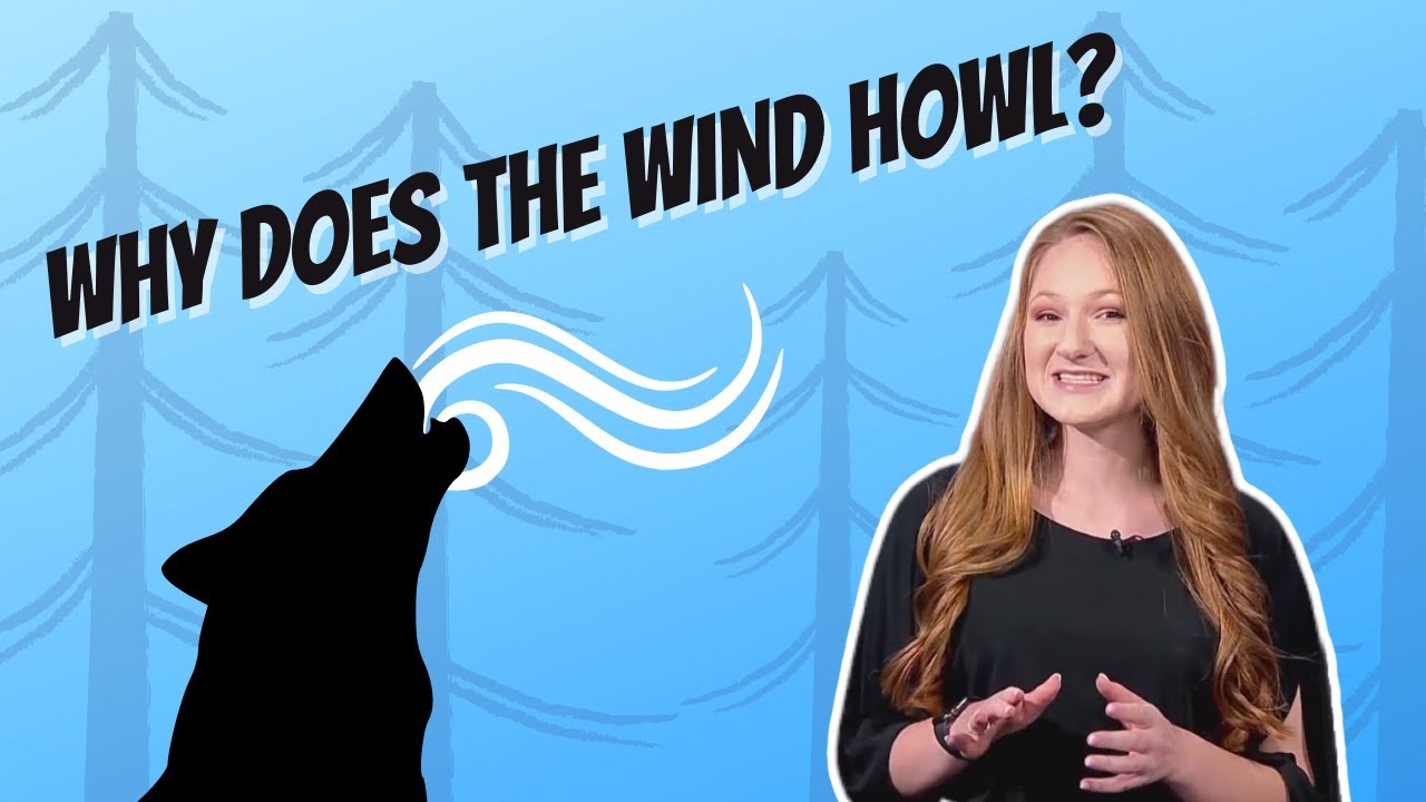 WHY DOES THE WIND HOWL? - YouTube