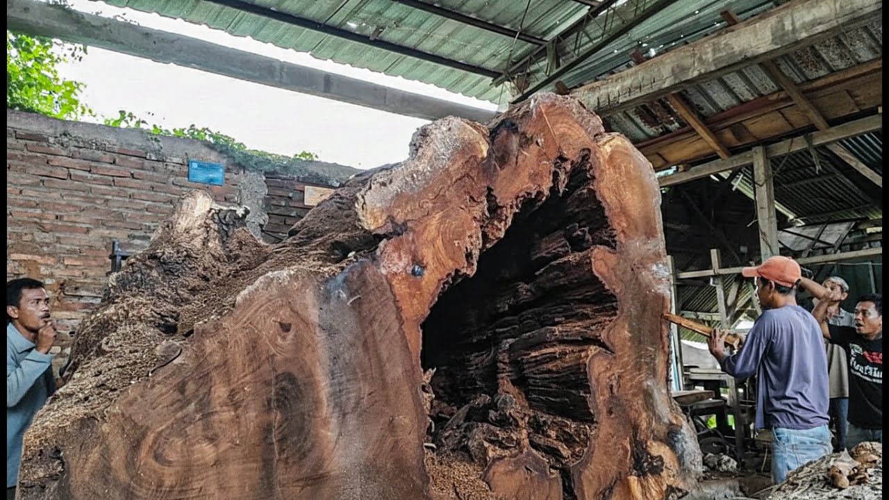 SHOCKING DISCOVERY!! Thousands of Flies Burst Out While Sawing Rotten ...