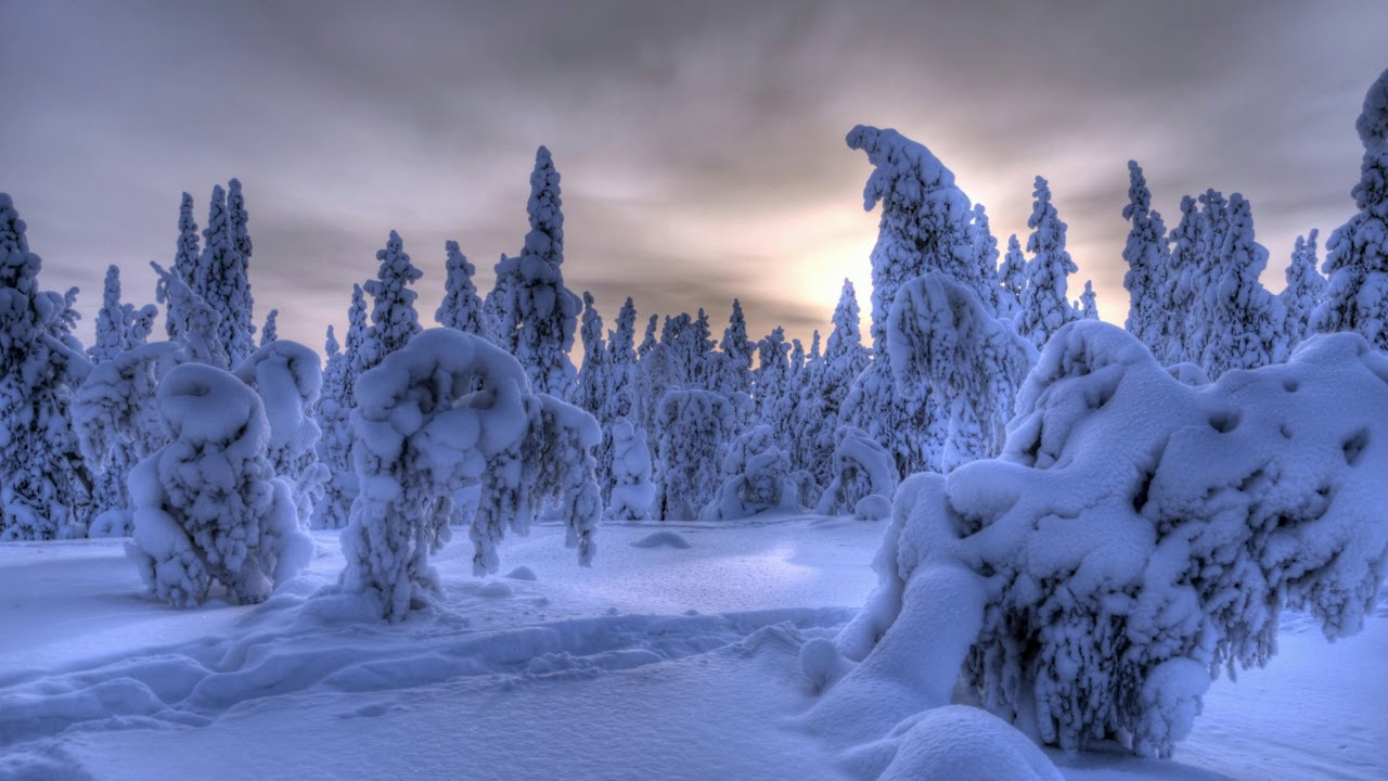 Paul Reeves. A Winter Land - YouTube