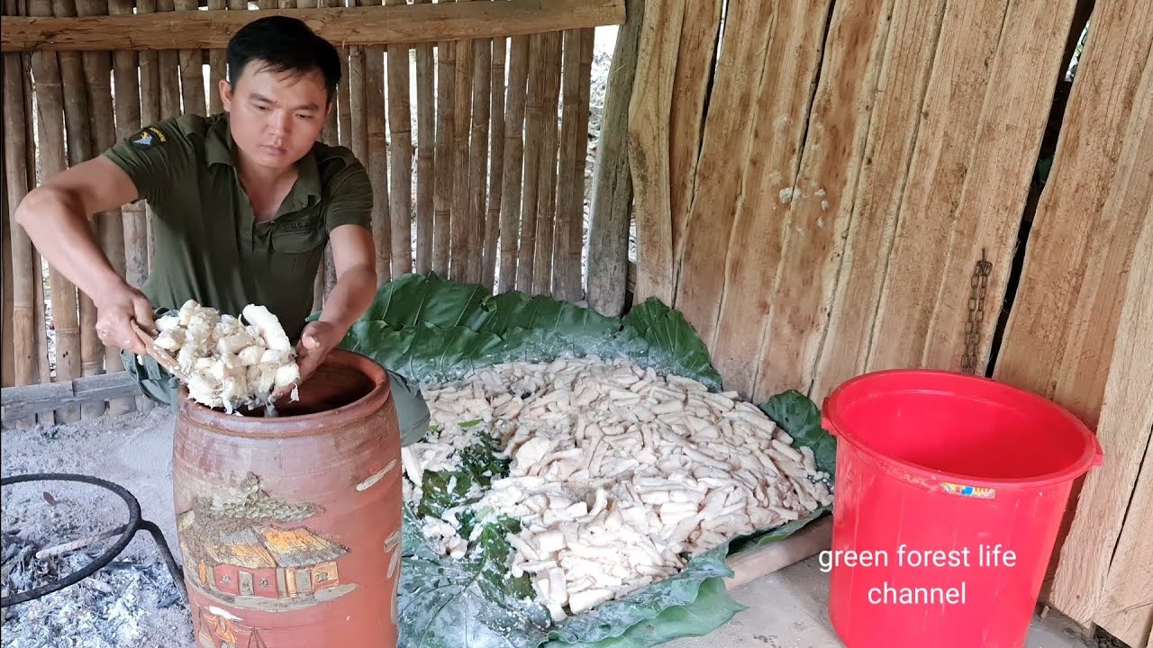 Robert makes beer from cassava. The process fermentation for cassava ...