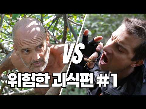 서바이벌 양대산맥의 극한 괴식 대결 | 위험한 먹방편 #1 | 베어 그릴스 vs 에드 스태포드