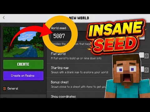 Minecraft Bedrock Island Plains Village And Woodland Mansion Seed