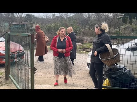 TAHLİL SONUÇLARIMIZ YÜZÜMÜZÜ GÜLDÜRDÜ🤲🏻ŞÜKÜRLER OLSUN KORKTUĞUMUZ GİBİ DEĞİL🤲🏻‼️