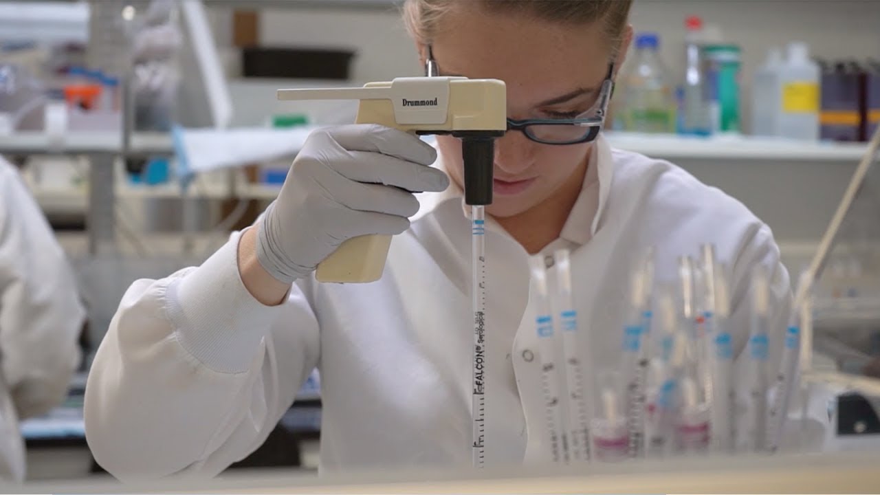 Cell Signaling Technology: Antibodies for Reproducible Science - YouTube