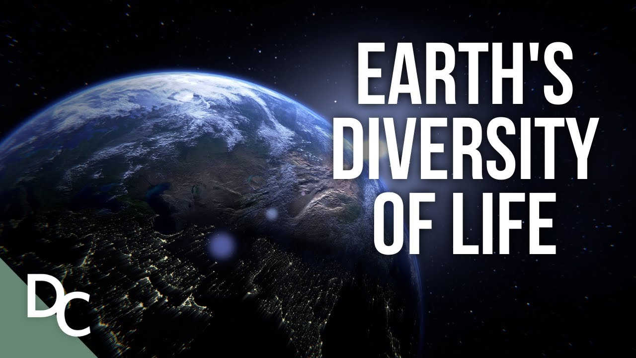 A Close Look at Earth's Incredible Diversity of Life | Wonderful World ...