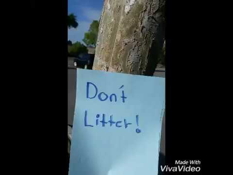 Why littering is bad for the environment - YouTube