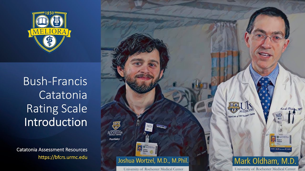 bush francis catatonia rating scale scoring pdf