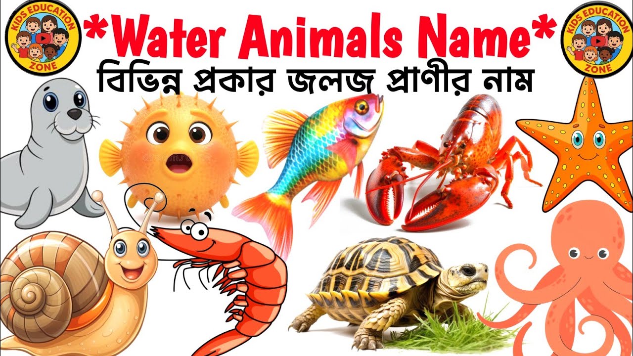 Water Animals | 20 Sea Animals for Kids | Learn Ocean Animals Name in ...